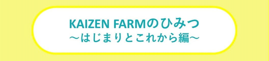 シリーズ｜担当者に聞く1